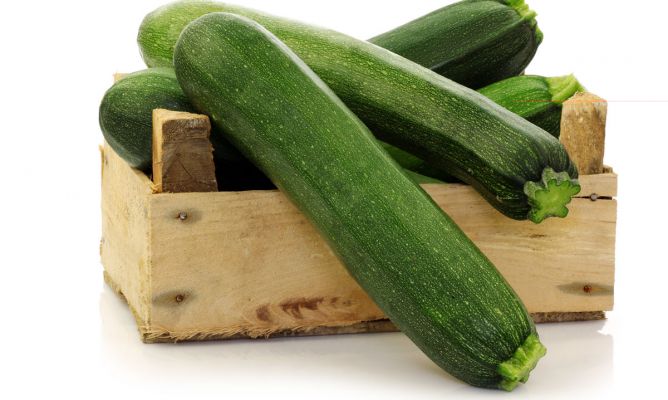 Calabacín Ecológico - Disfruta & Verdura